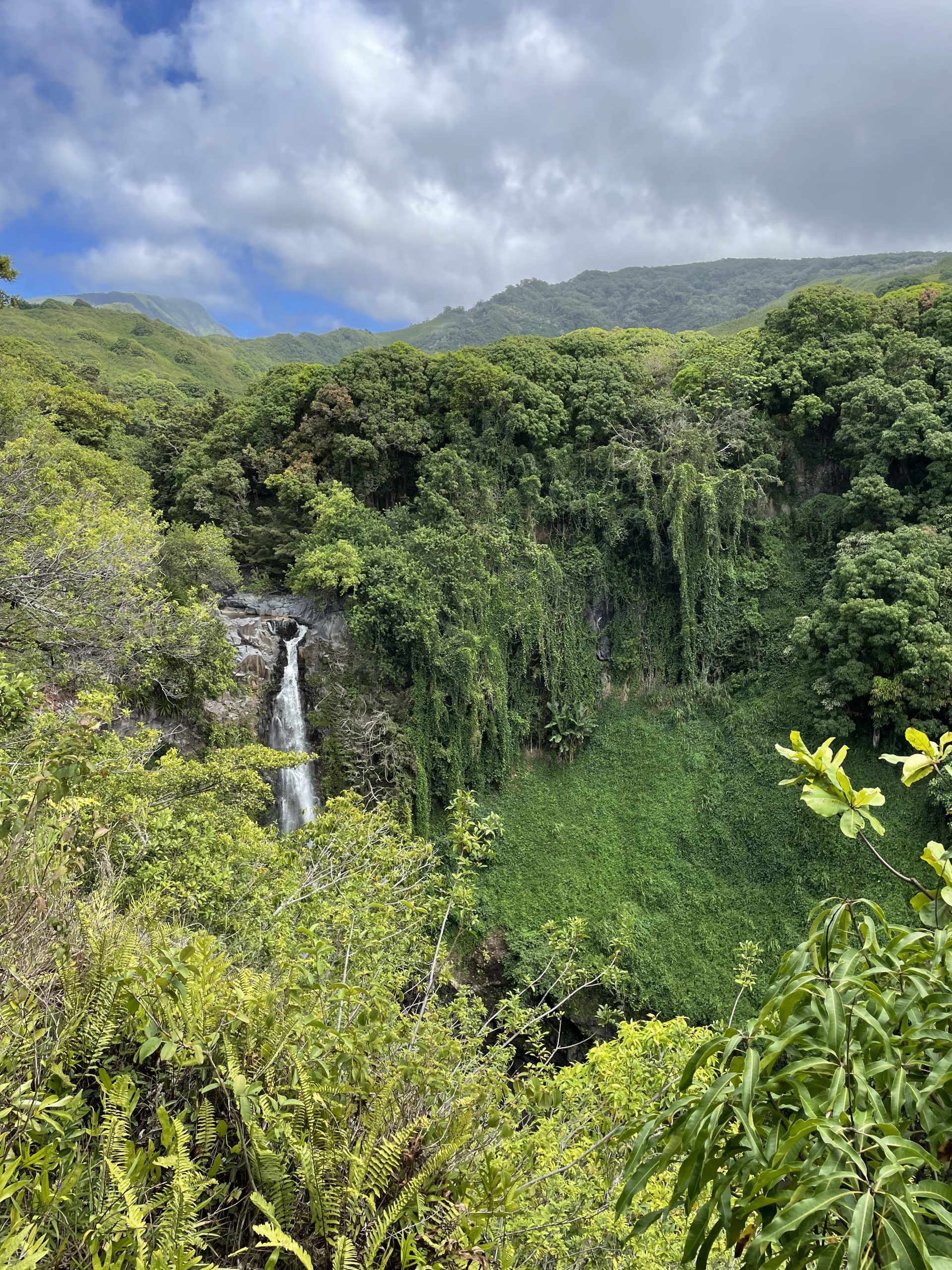 Maui Hawaiʻi Travel Guide - The Wildflower Way