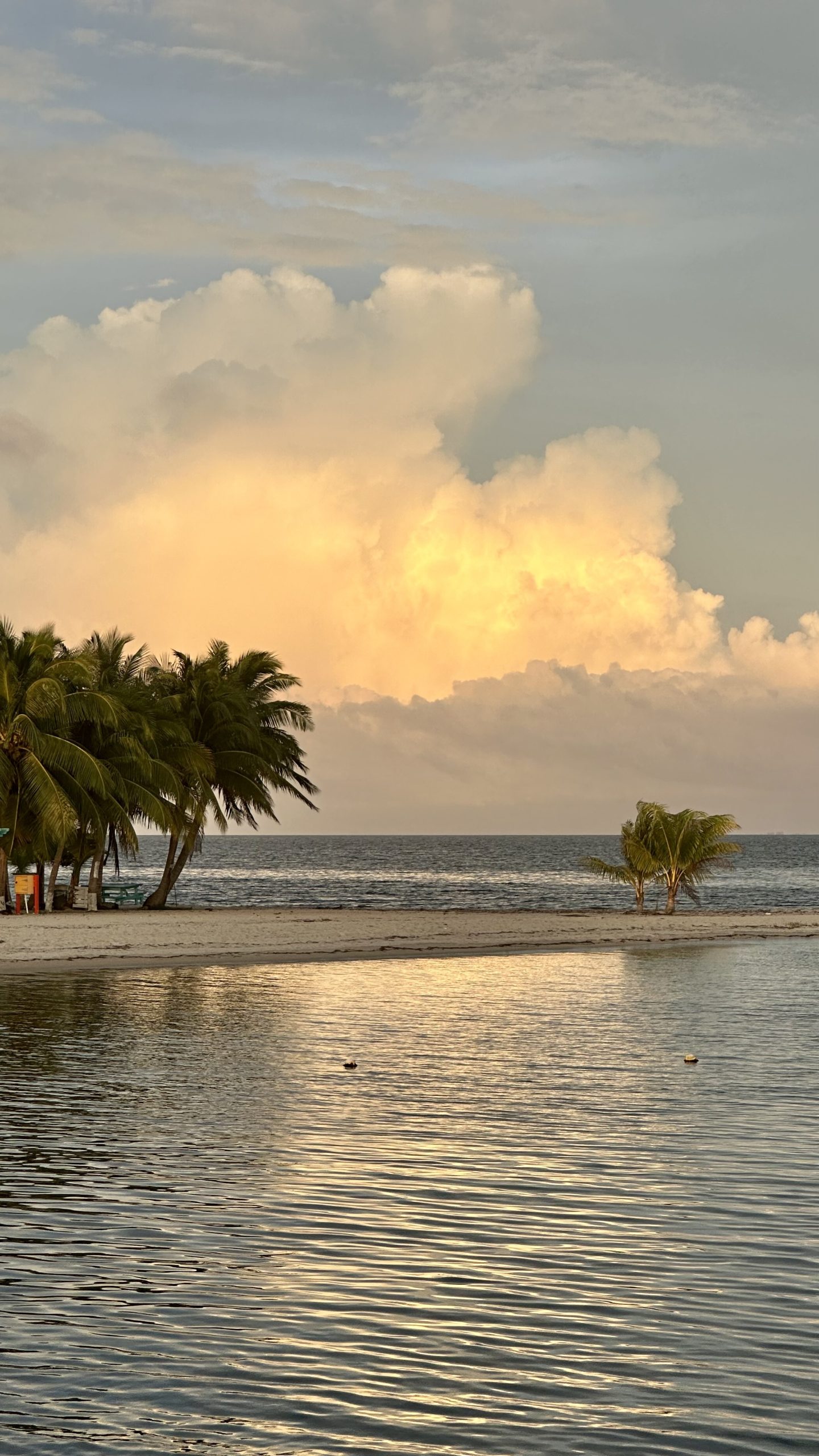 Belize Travel Guide - The Wildflower Way